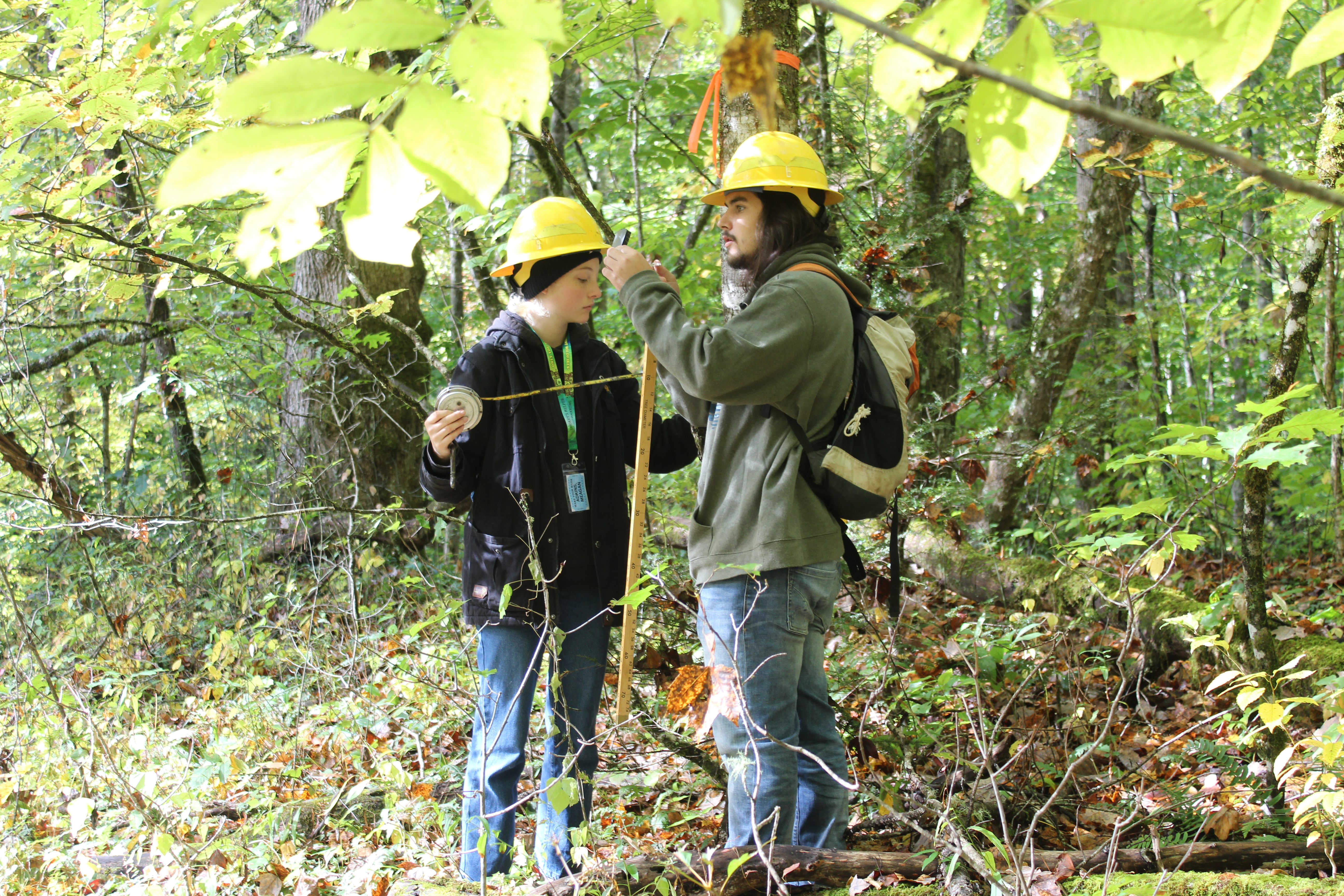 Forest Service invests in the future with hands-on training classes in ...